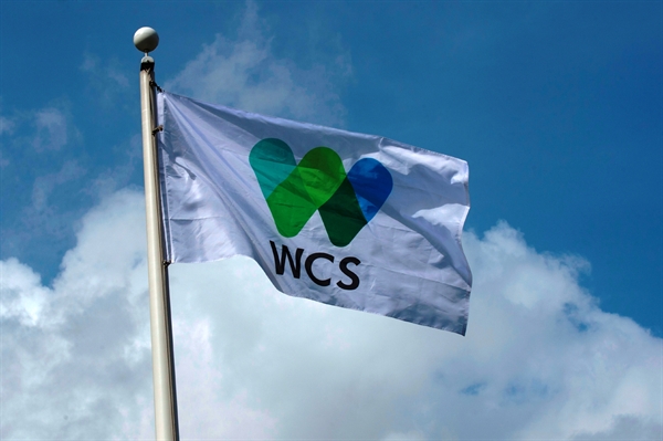 WCS Unveils Strategy and a New Website and Brand Identity to Support It > Newsroom